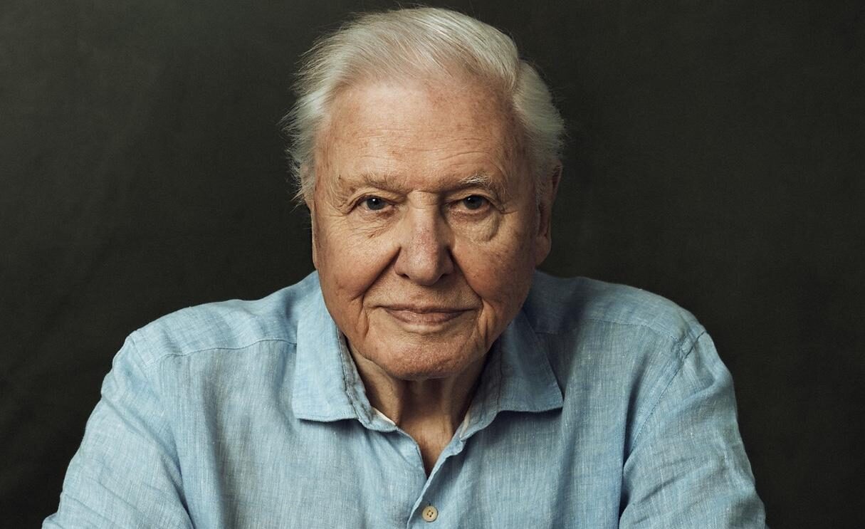 Sir David Attenborough Returns to Present “Planet Earth III”: A ...