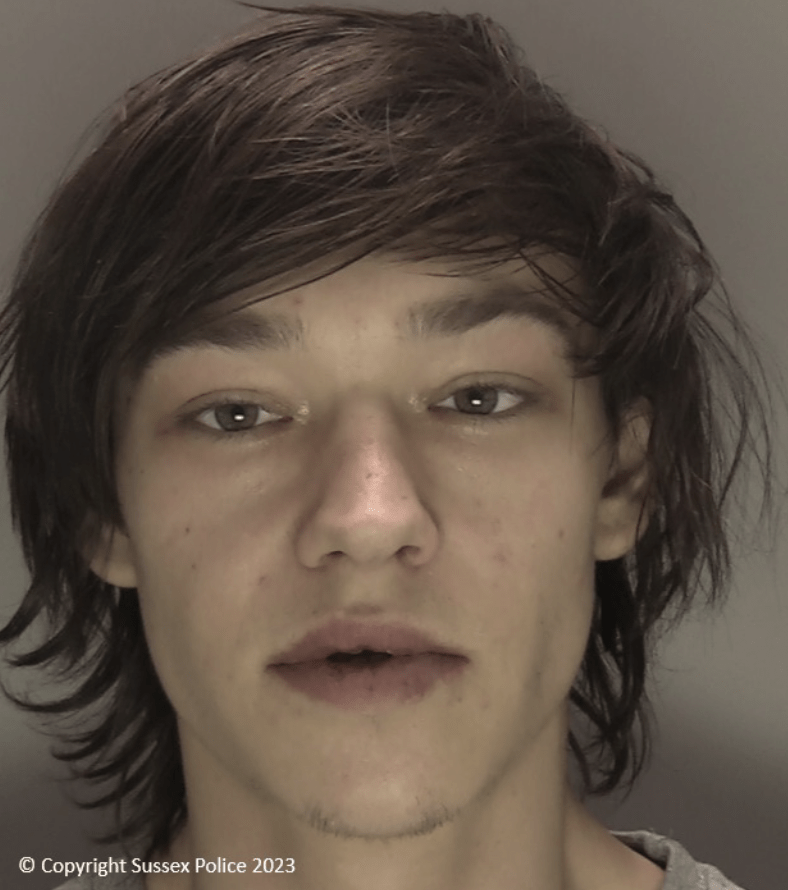 A Henfield man who stabbed two men when he was interrupted breaking ...