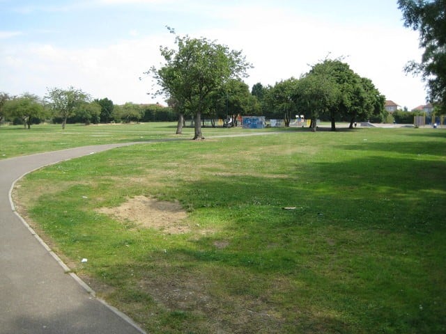 Woman Hospitalised After Dog Bite Incident in Collier Row Park %-% UKNIP