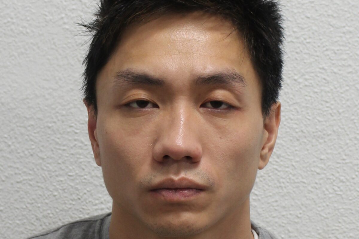 Two Pigeons Found With Identical Injuries in Suspected Catapult Attacks ...