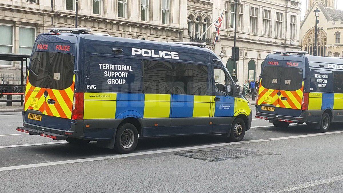Met Police launch major operation for London protests this weekend ...