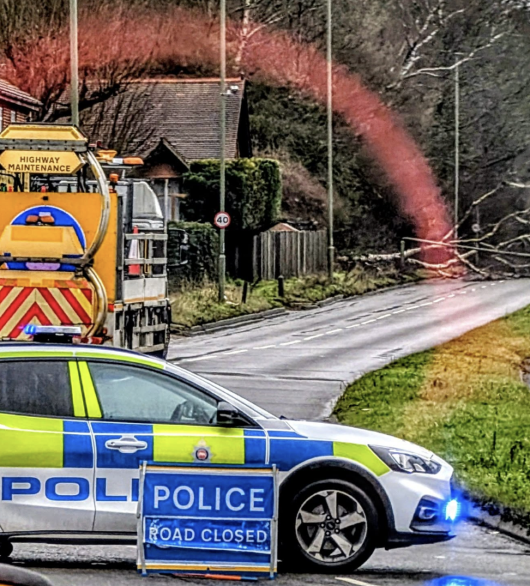 Chaos on the A217: Fallen Tree and Lamp Post Cause Traffic Mayhem - UKNIP