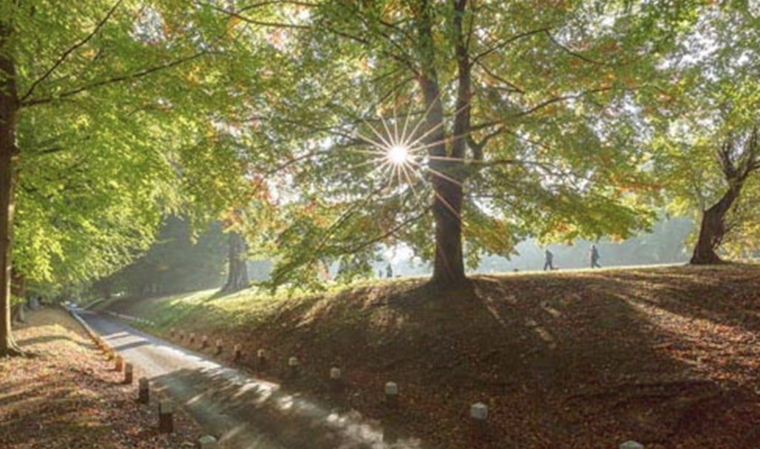 Indecent Exposure Shocker in Maidstone’s Mote Park - UKNIP