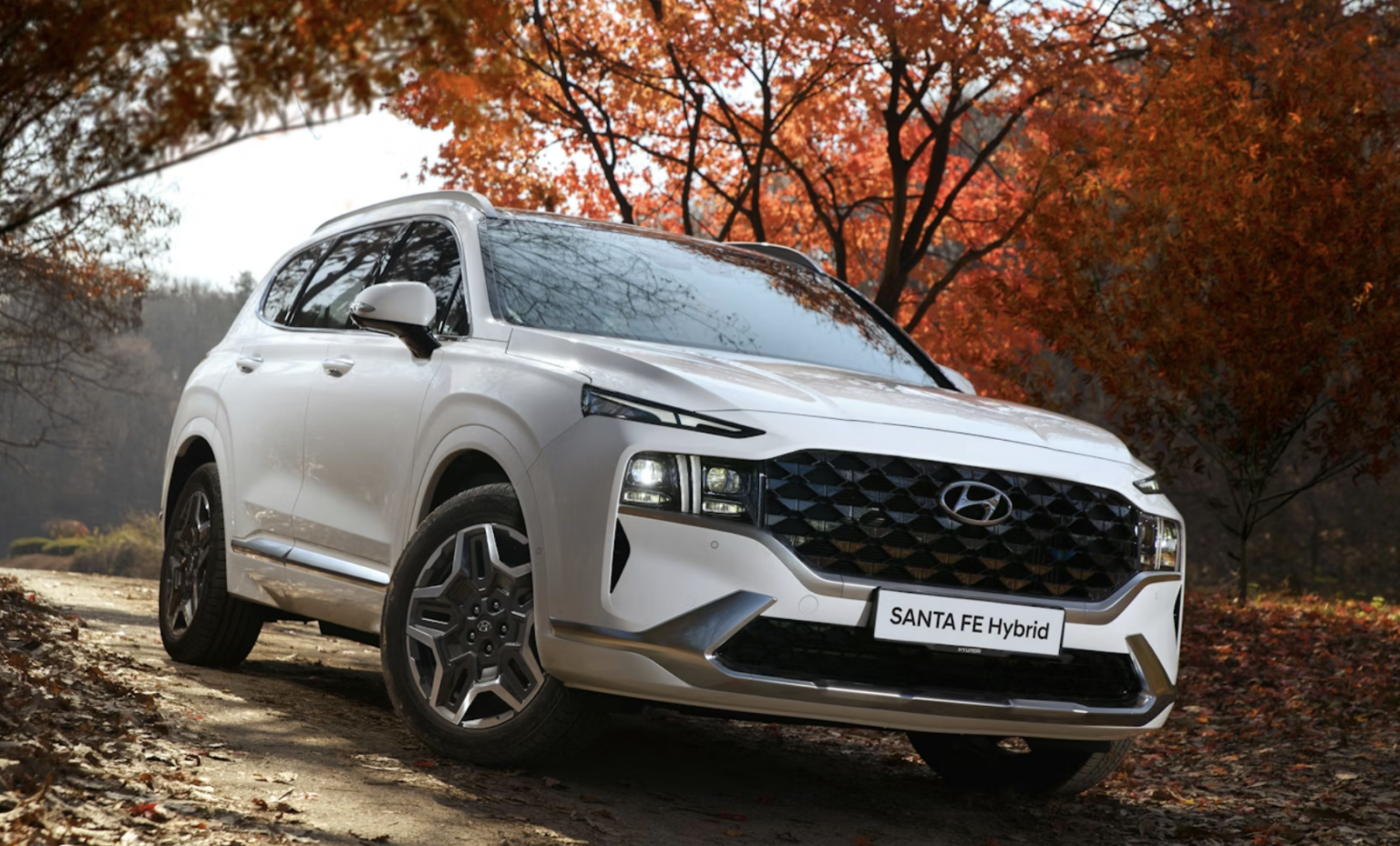 Budget Hyundai Rental Dubai|Why Choose AEX for Hyundai Rentals? - UKNIP