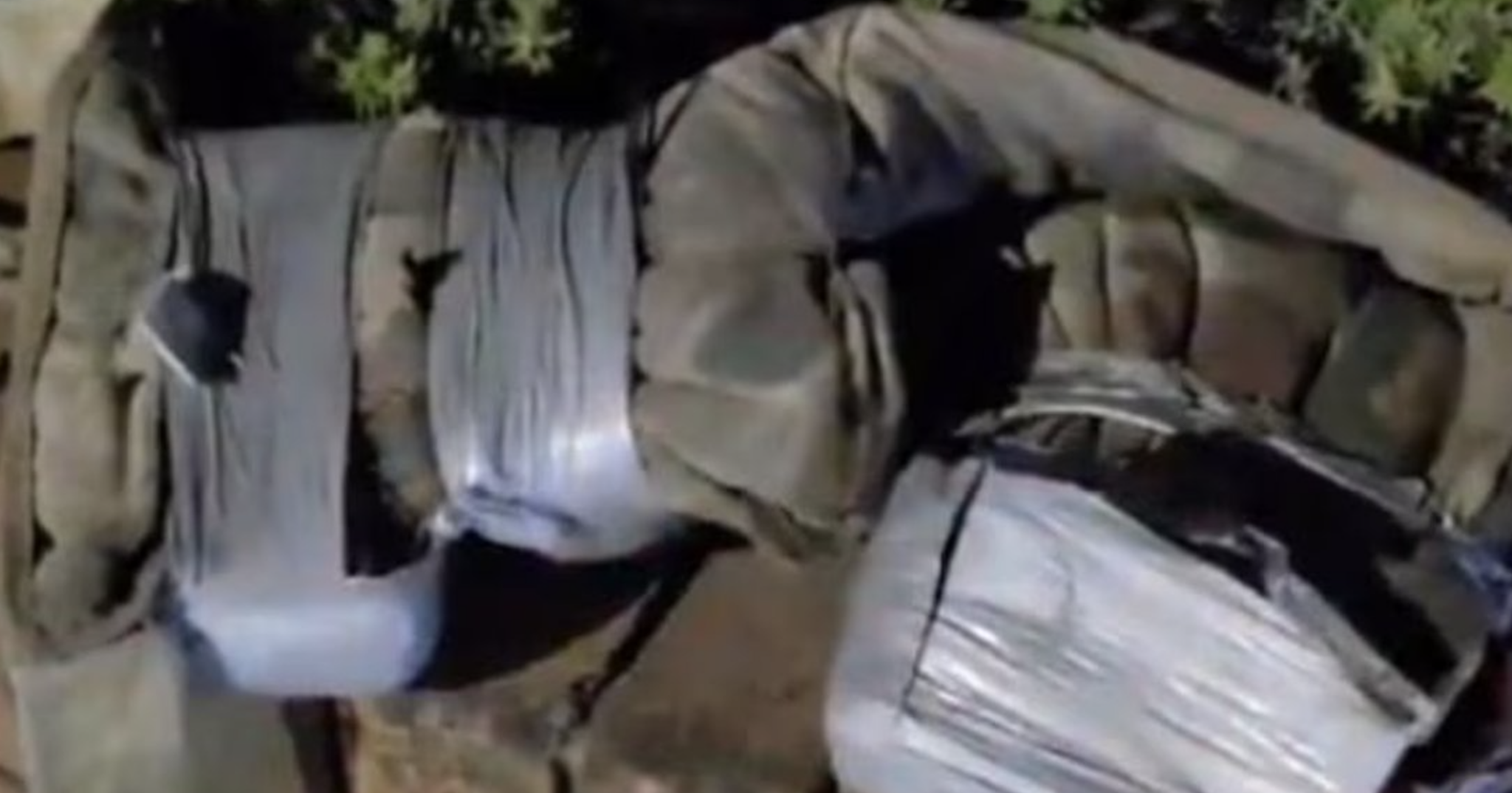 Dog Falls Into Frozen Lake in Cleethorpes – Emergency Services Launch ...