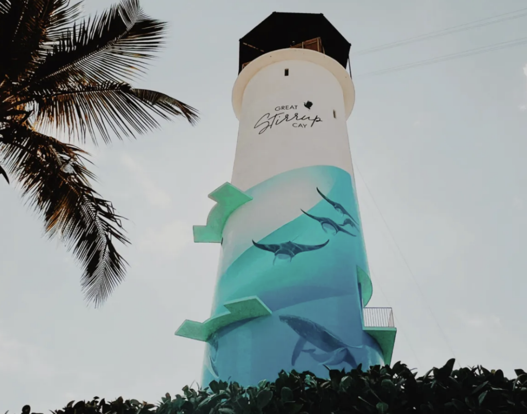 Zip Line Horror at Great Stirrup Cay: Two Passengers Collide in ...